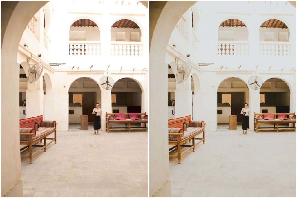 Safari Lightroom Mobile Preset – MasterBundles