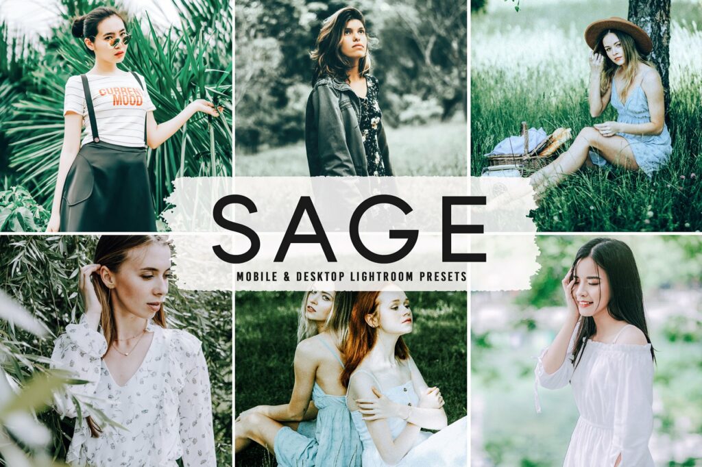 Sage Pro Lightroom Presets – MasterBundles