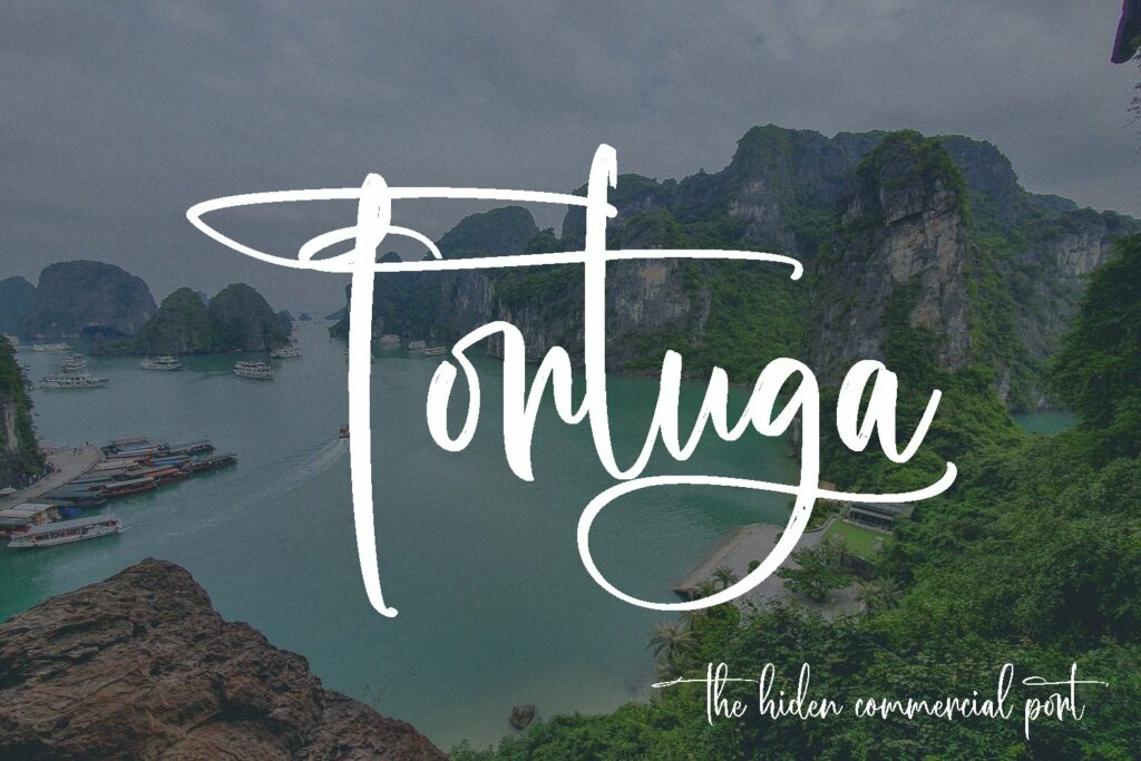 Sailor Bay Brush Script Font – MasterBundles