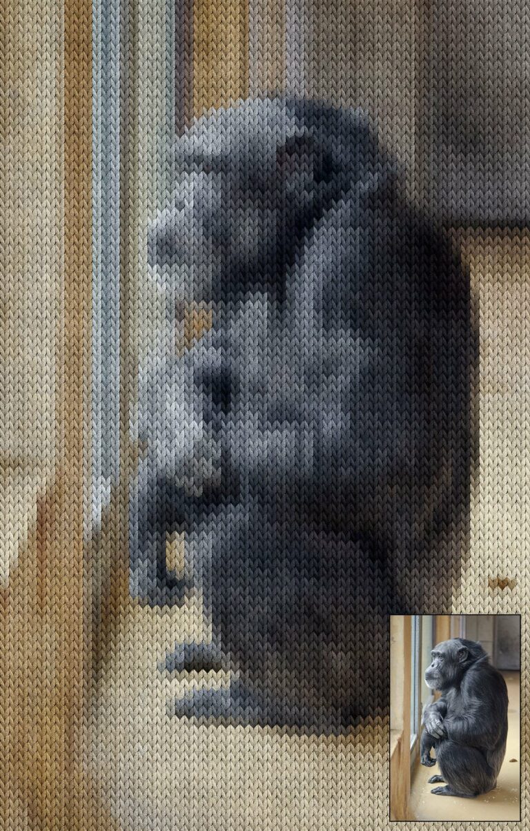 Knitting Photoshop Action – MasterBundles