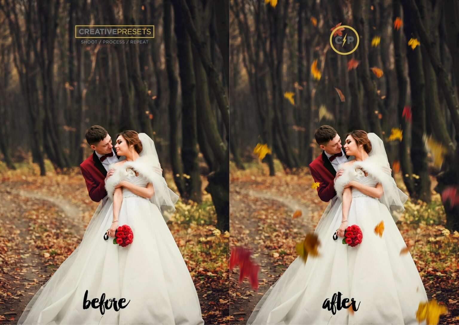 +83 Autumn Leaves Overlays – MasterBundles