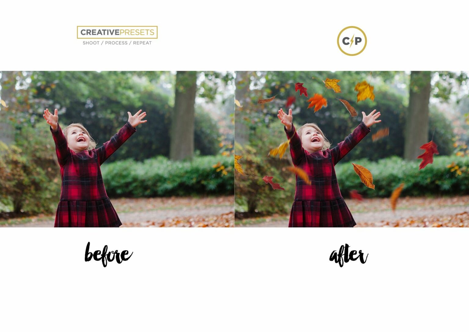 +83 Autumn Leaves Overlays – MasterBundles