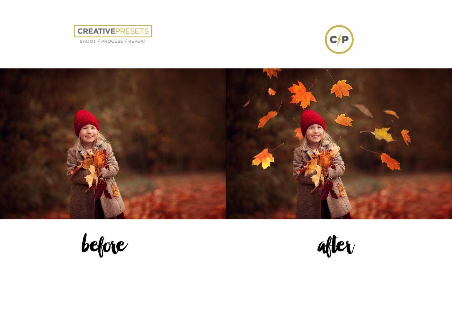 +83 Autumn Leaves Overlays – MasterBundles