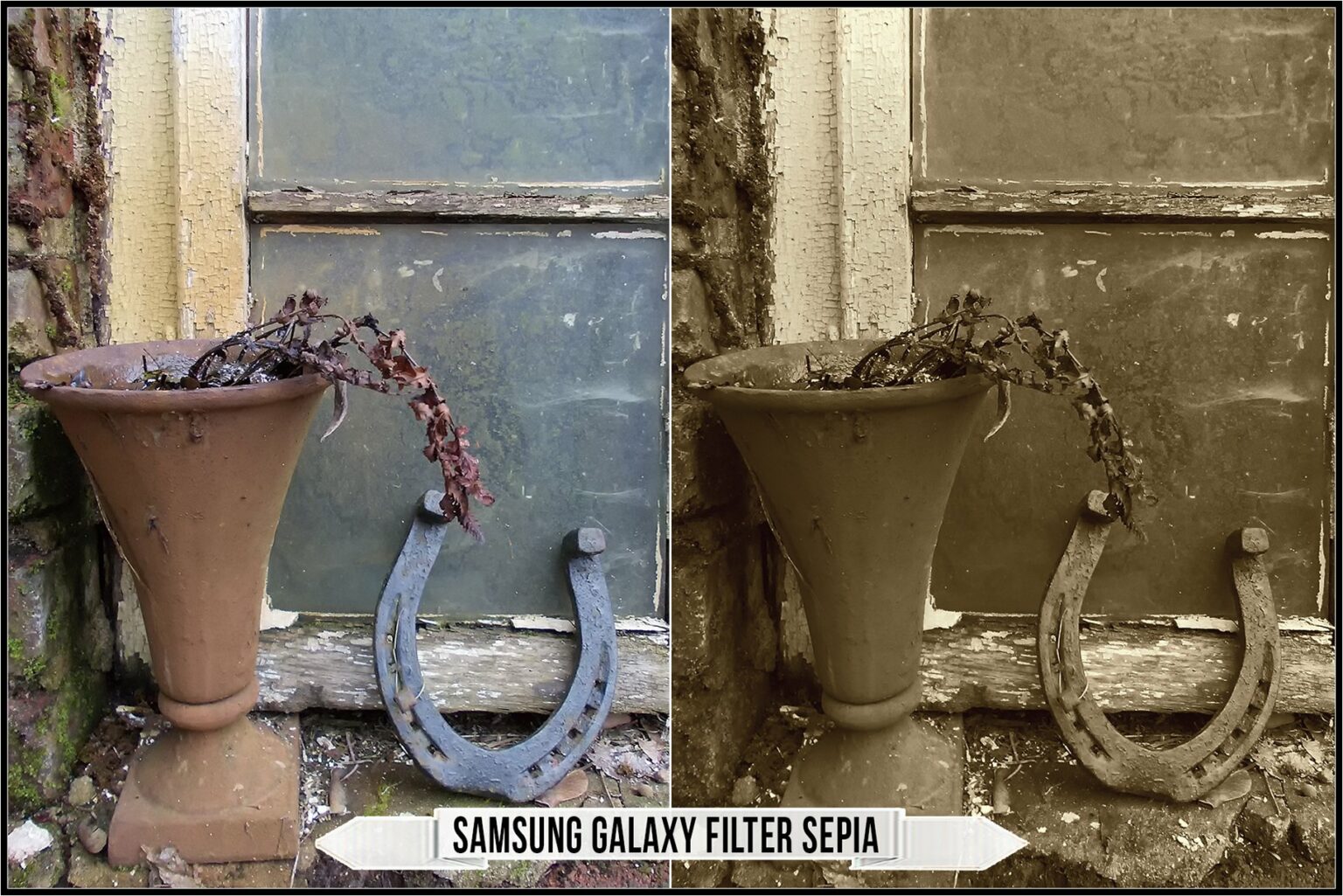 Authentic Sepia LUTs - Version 2 – MasterBundles