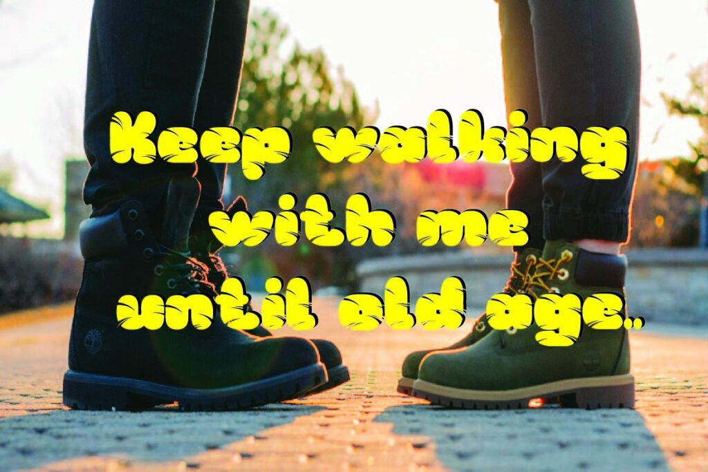 Saviola – MasterBundles