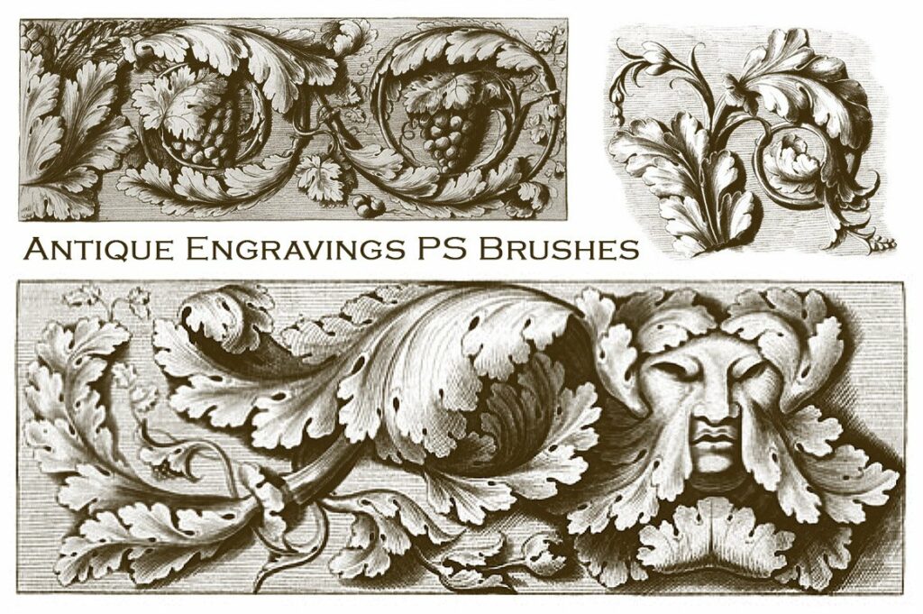 Antique Engravings PS Brushes – MasterBundles