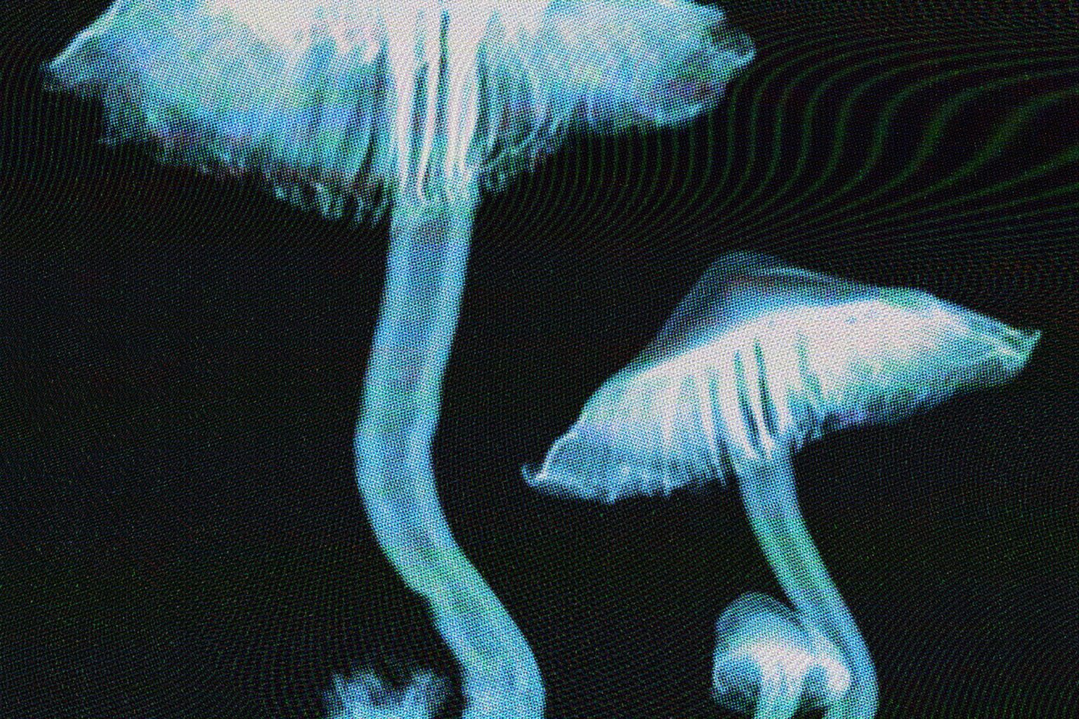 Screen Flicker Poster Effect – MasterBundles