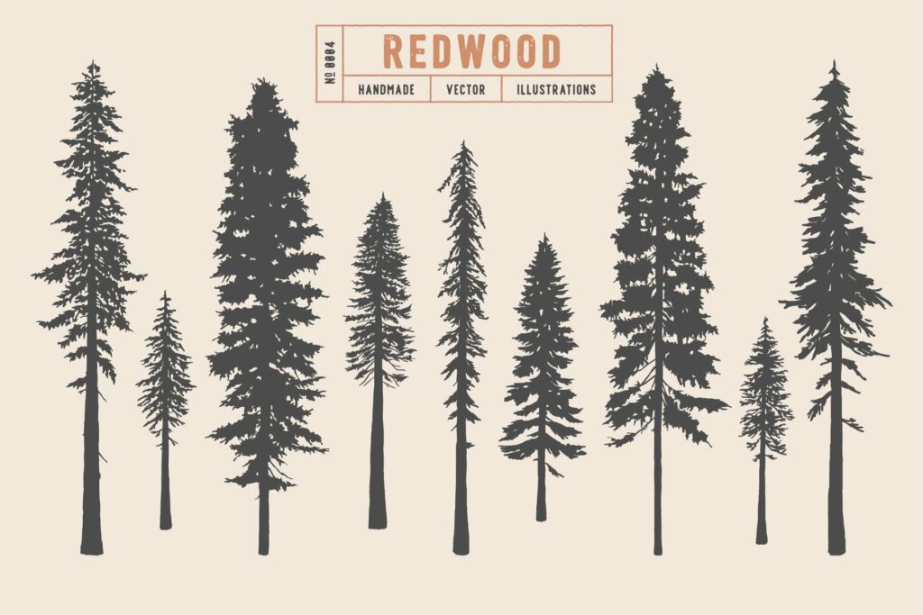 Woodland Tree Set | Illustrations – MasterBundles