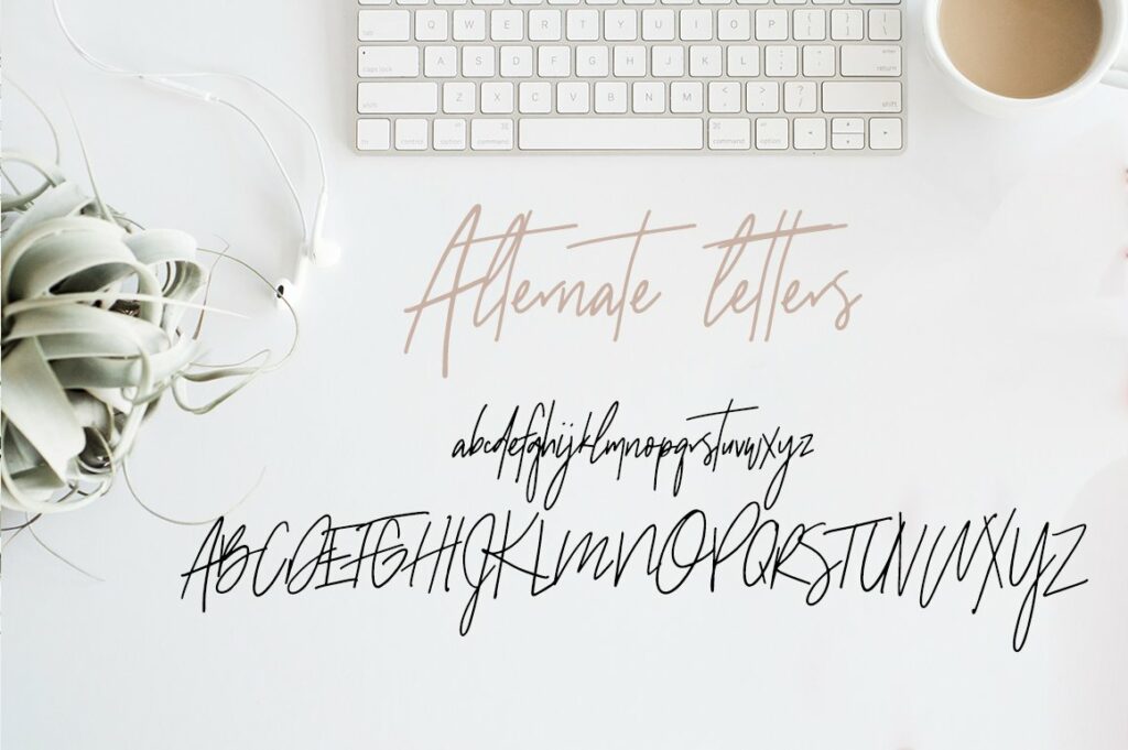 Sydney | Font Duo + 12 Free Logos – MasterBundles