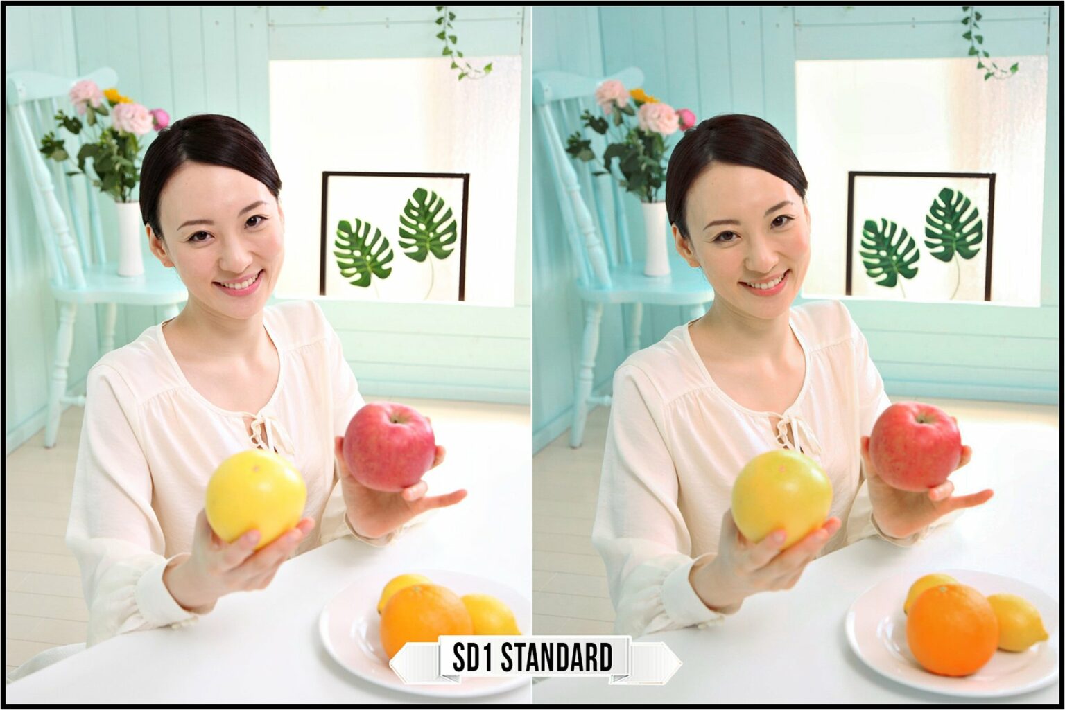 Sigma Color Modes profiles – MasterBundles