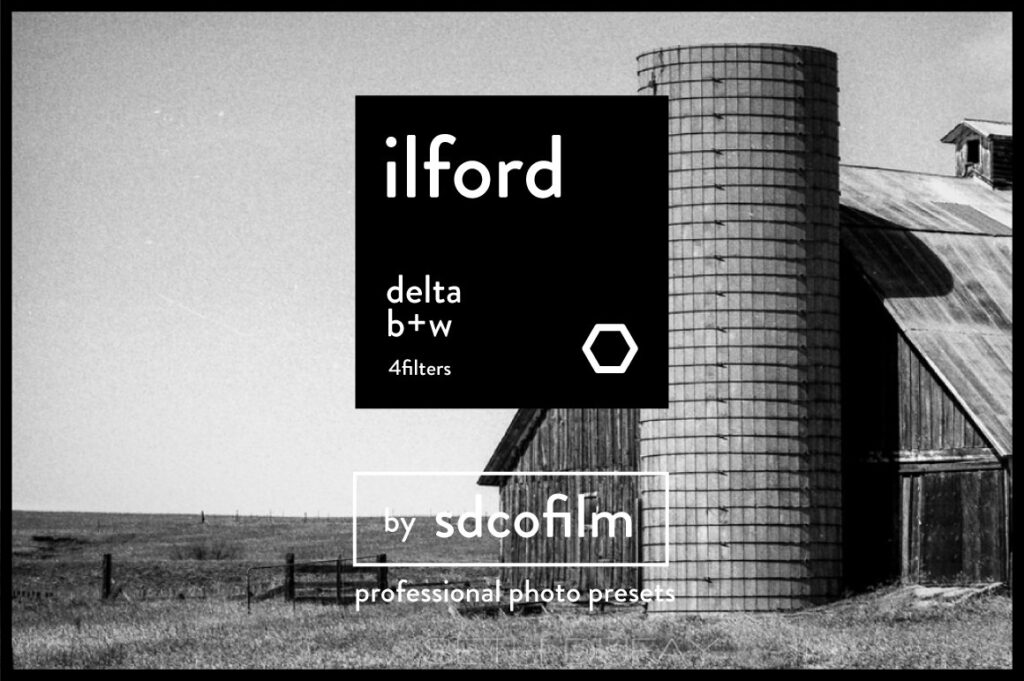 Ilford Delta BW Film-LR & Photoshop – MasterBundles