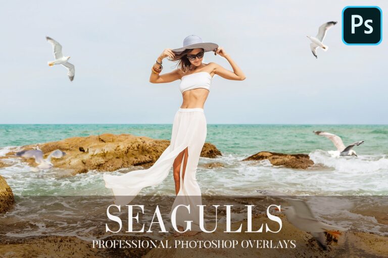 Seagulls Overlays Photoshop – MasterBundles