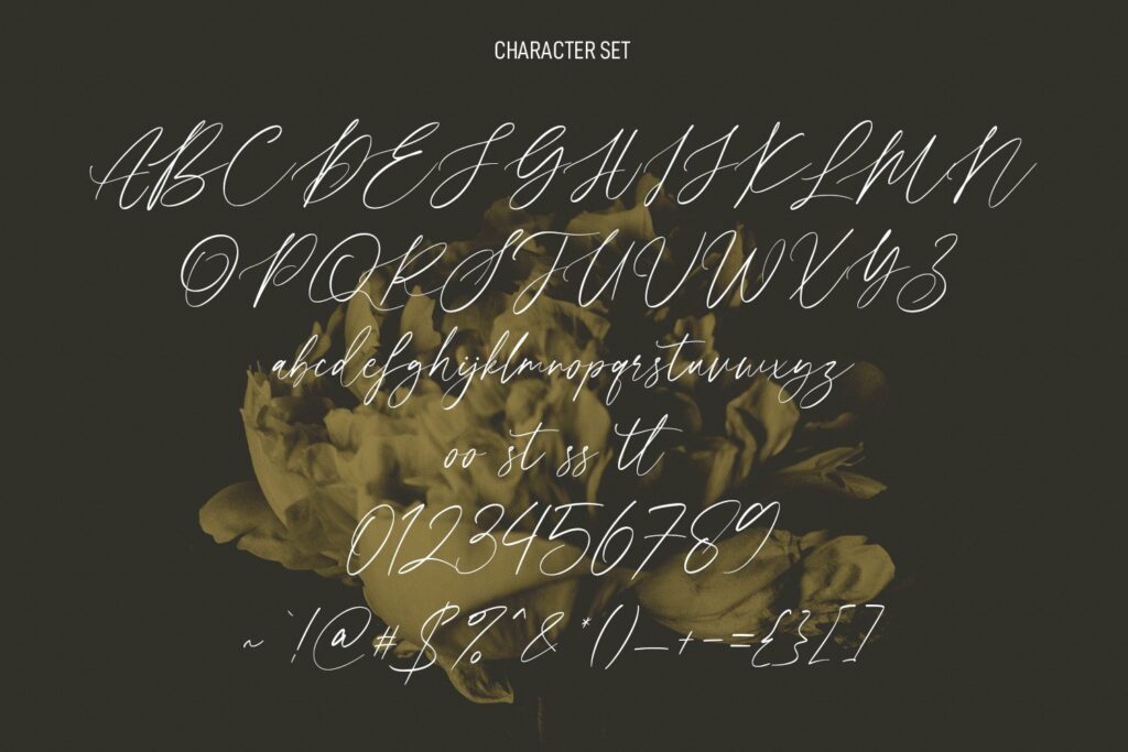 Seillamikha Feminine Script Font – MasterBundles