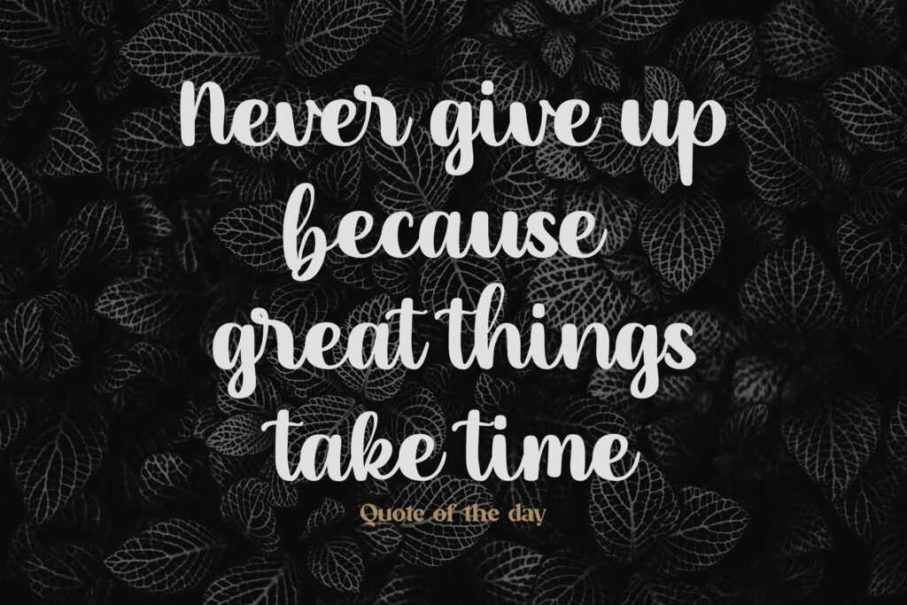 Shady Cave - Script Font – MasterBundles