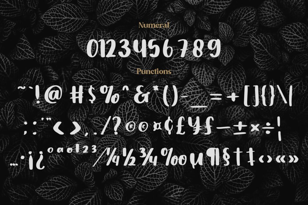 Shady Cave - Script Font – MasterBundles