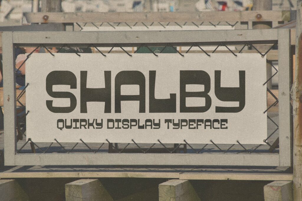 Shalby Quirky Display Typeface Font – MasterBundles
