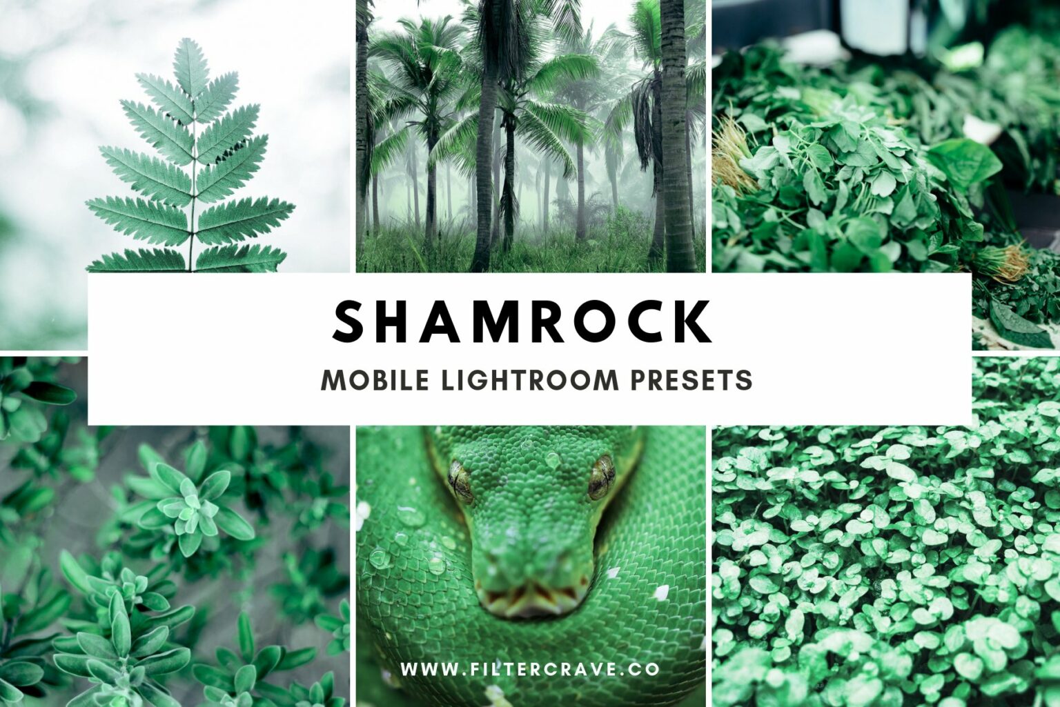 Shamrock Lightroom Presets Instagram – MasterBundles