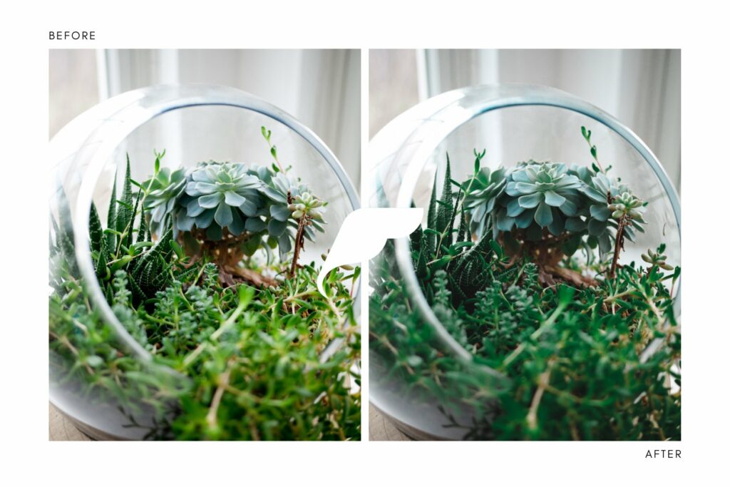 Shamrock Lightroom Presets Instagram – MasterBundles