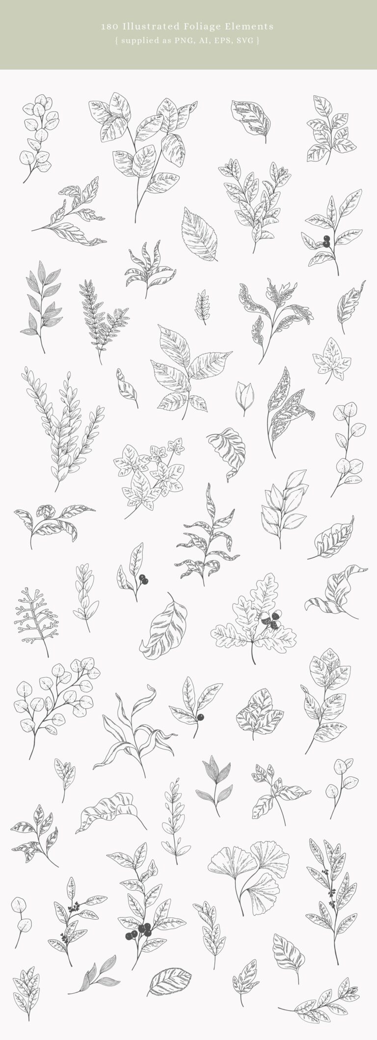 Greenery Vector Illustrations – MasterBundles