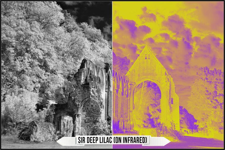 Solarized IR Inspired profiles LUTs – MasterBundles