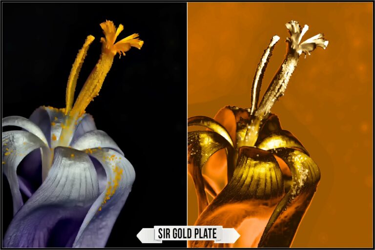 Solarized IR Inspired profiles LUTs – MasterBundles