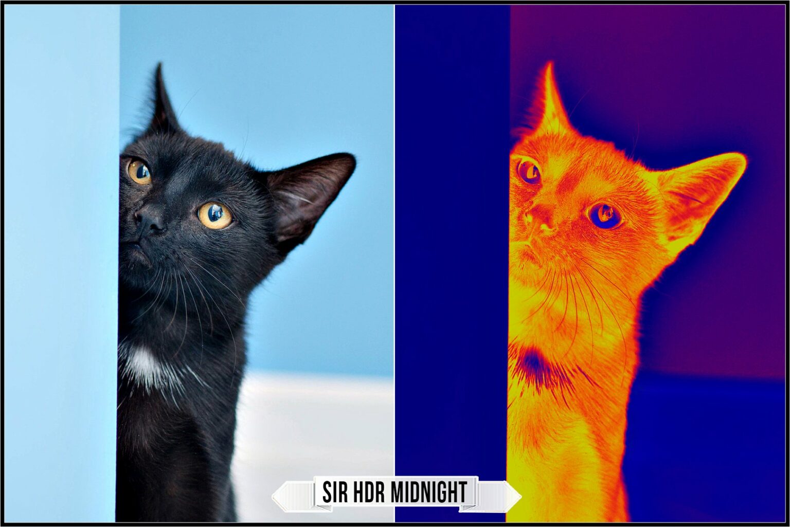 Solarized IR Inspired profiles LUTs – MasterBundles