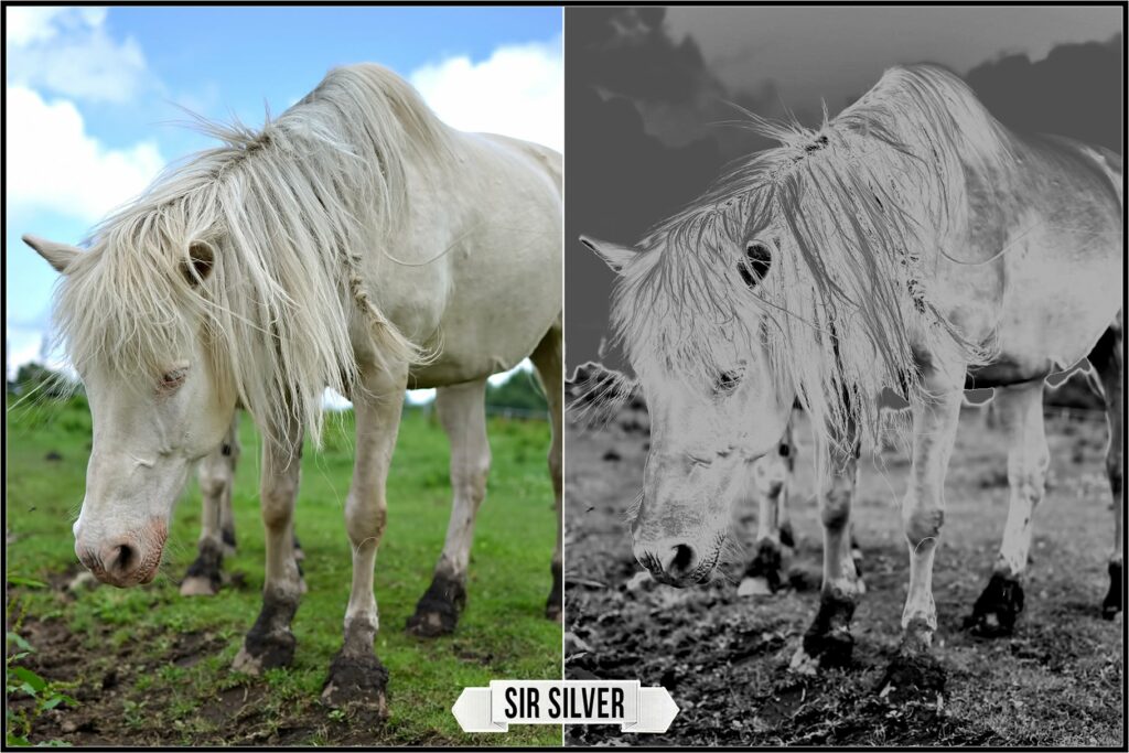 Solarized IR Inspired profiles LUTs – MasterBundles