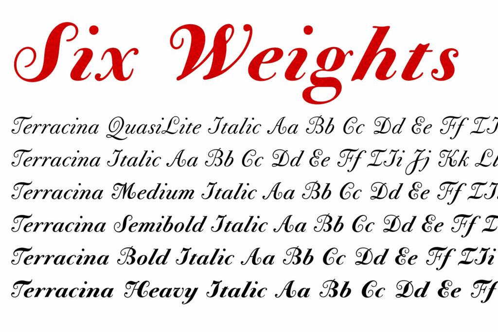 Bodoni Terracina Full Family 6 Fonts – MasterBundles