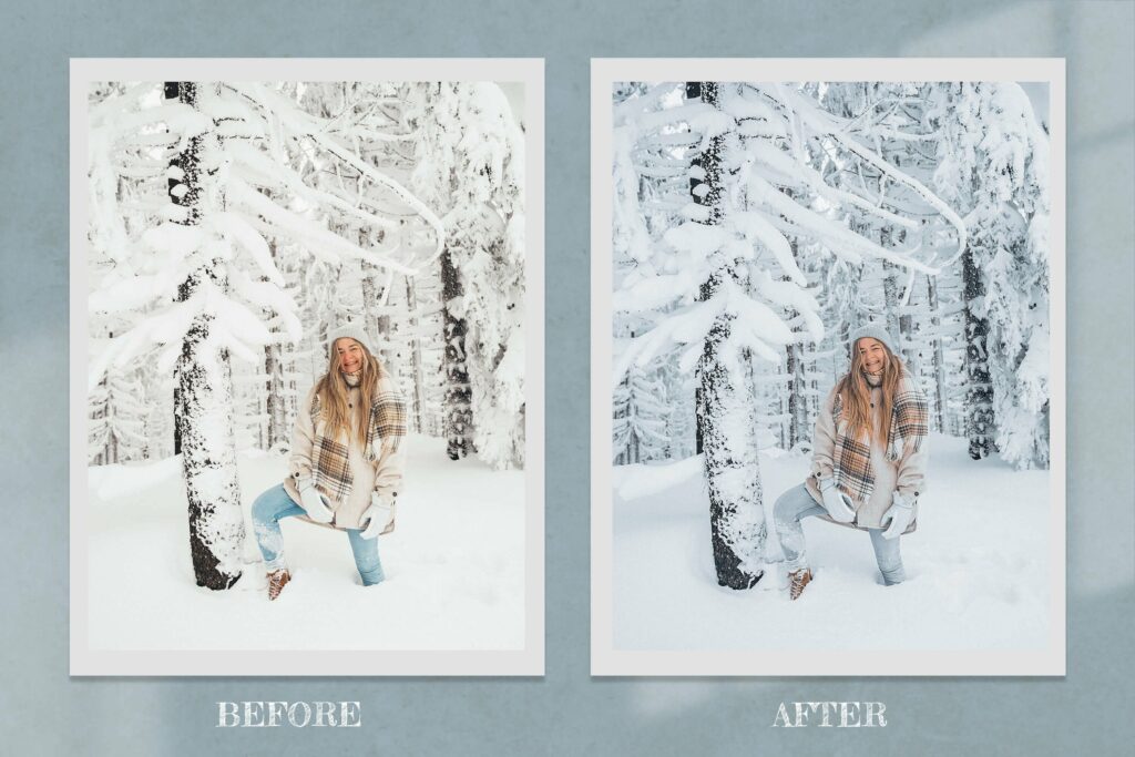 Snowflake Lightroom Photoshop LUTs – MasterBundles