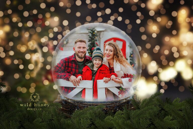 Snow Globe Digital Backdrop PNG – MasterBundles