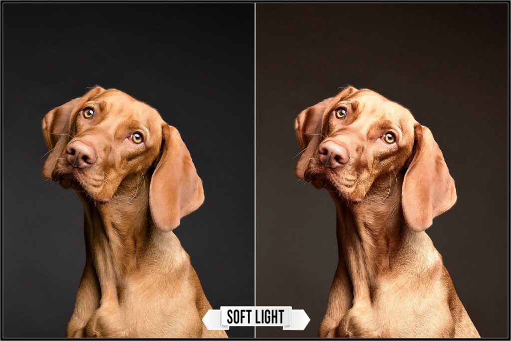 Photographic Lighting profiles – MasterBundles