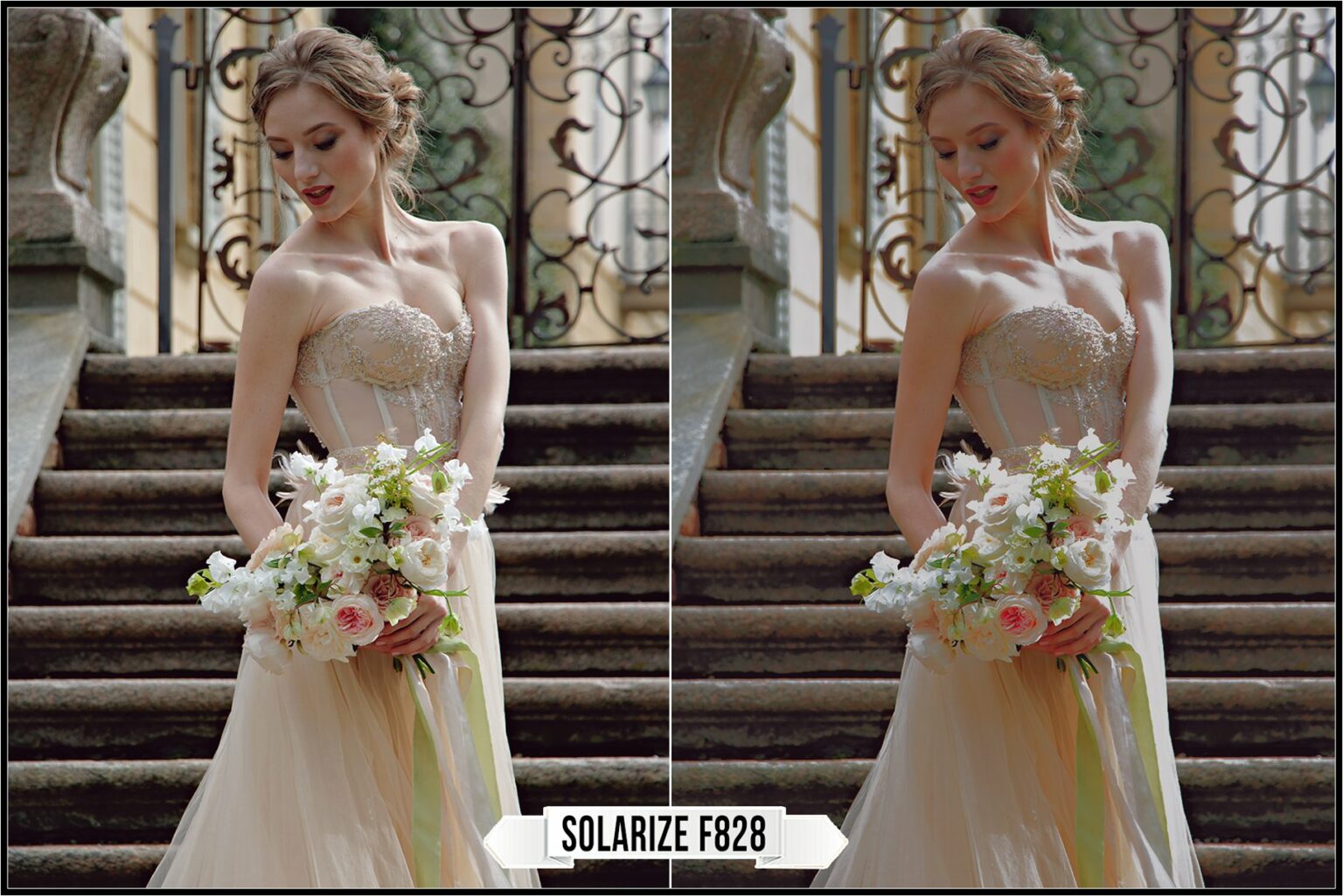 Sony Picture Effects Profiles – MasterBundles