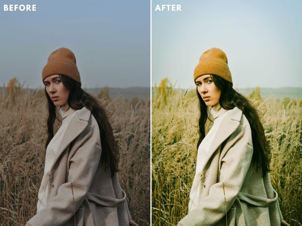 Split Toning Lightroom Presets – MasterBundles