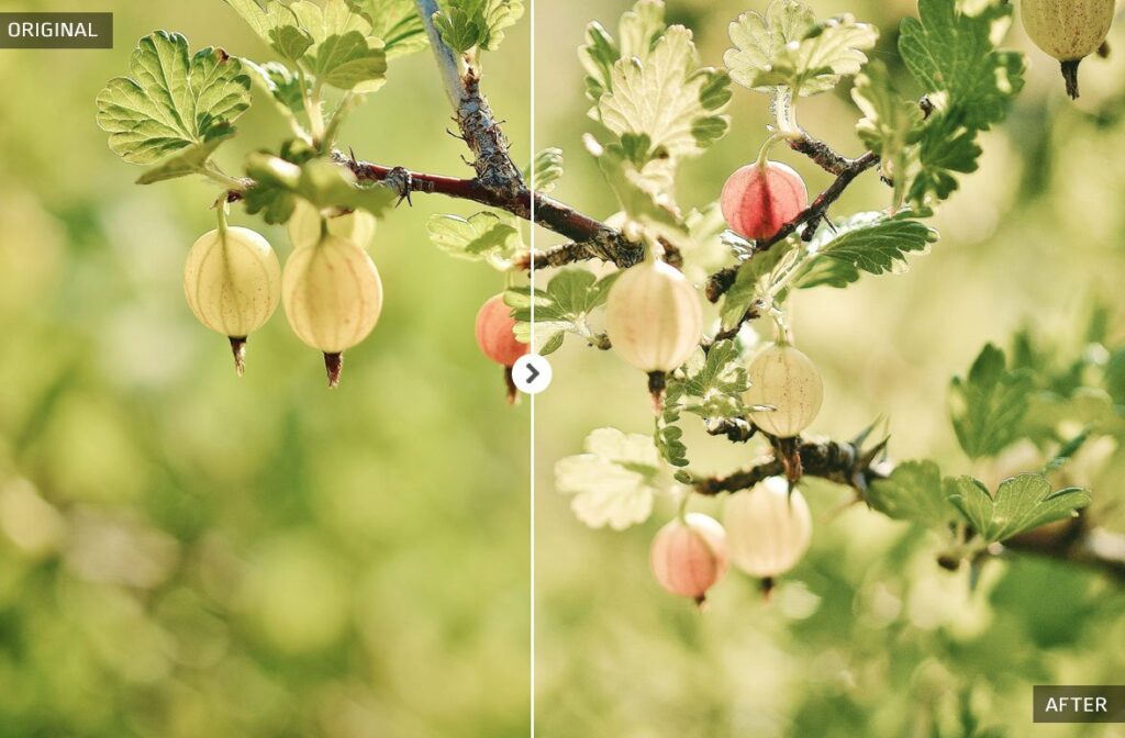 50 Spring Lightroom Presets – MasterBundles