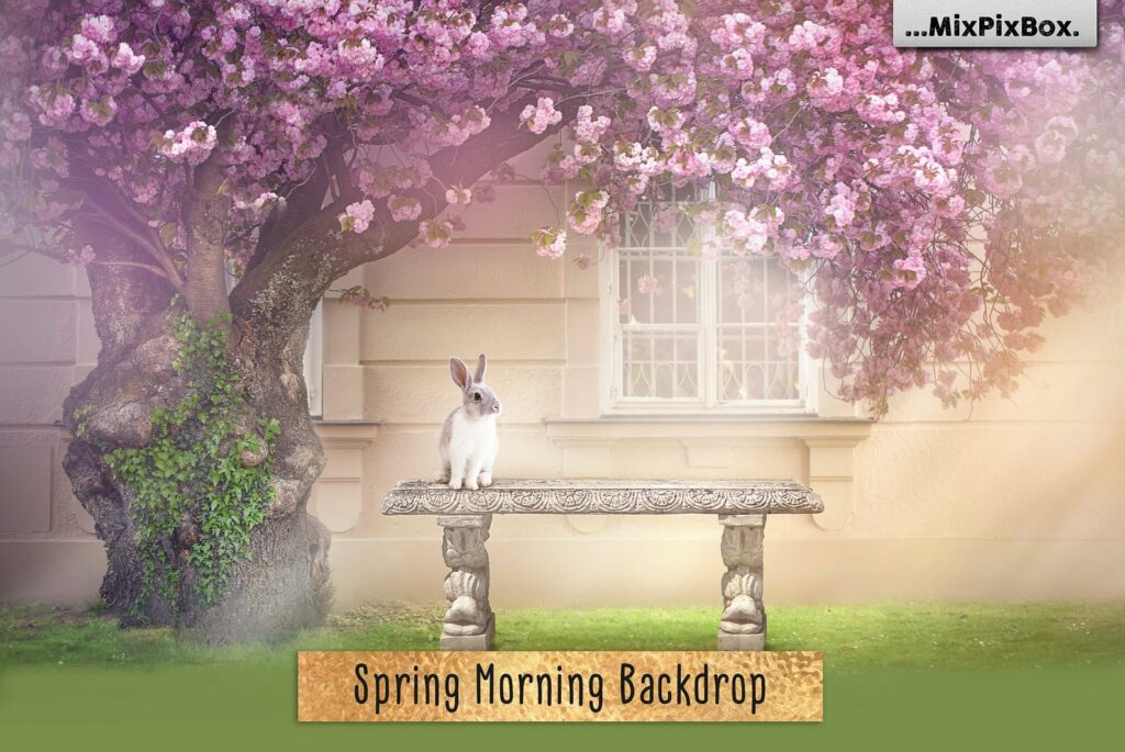 Spring Morning Backdrop – MasterBundles