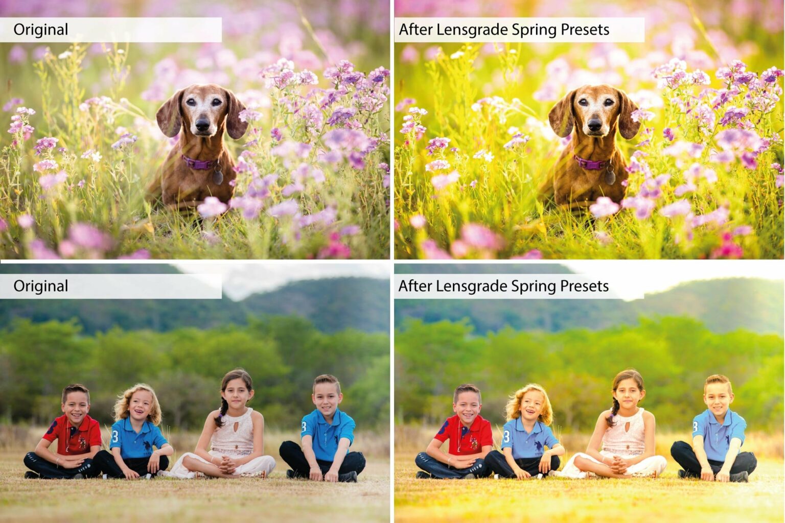 Spring Presets - Lightroom Presets – MasterBundles