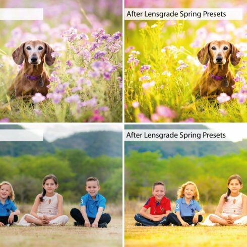 All 4 Seasons! Big Bundle! – MasterBundles