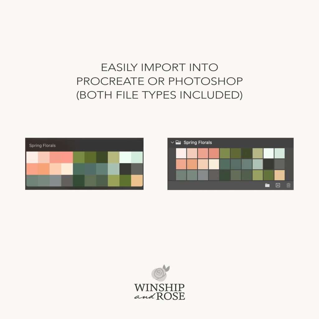 Procreate Swatches Palette Colors Masterbundles