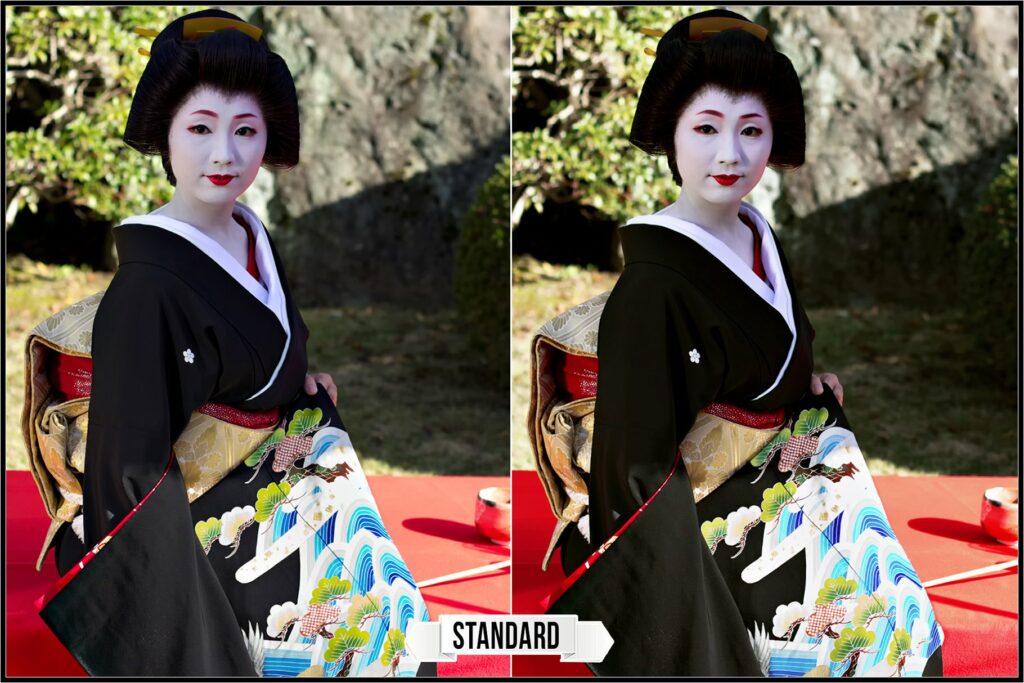 Ricoh Image Controls & Creative Mode – MasterBundles