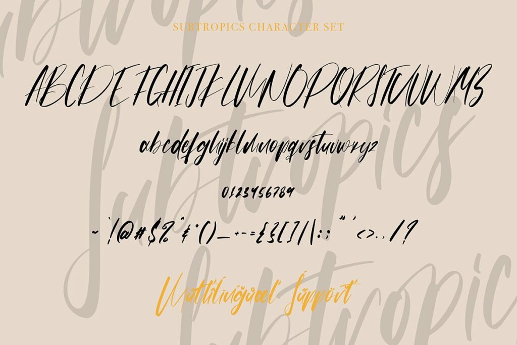 Subtropics - Fancy Calligraphy Font – MasterBundles