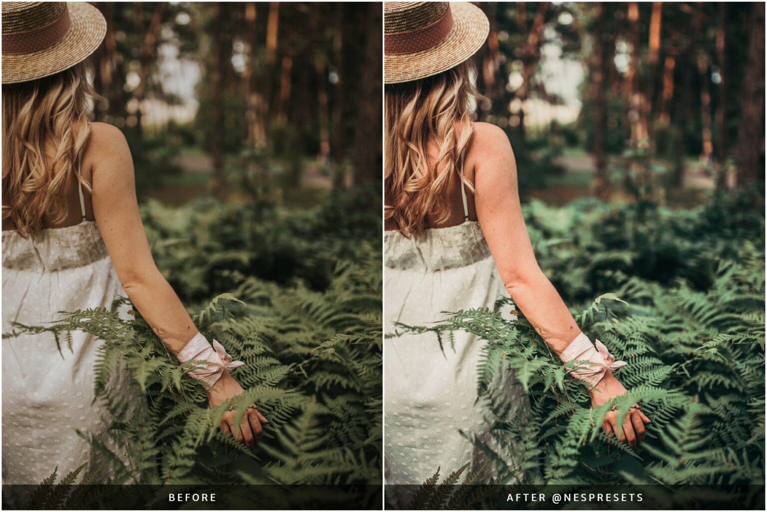 Summer Breeze Lightroom Presets – MasterBundles