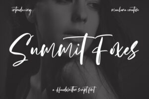 Summit Foxes Script Font – MasterBundles
