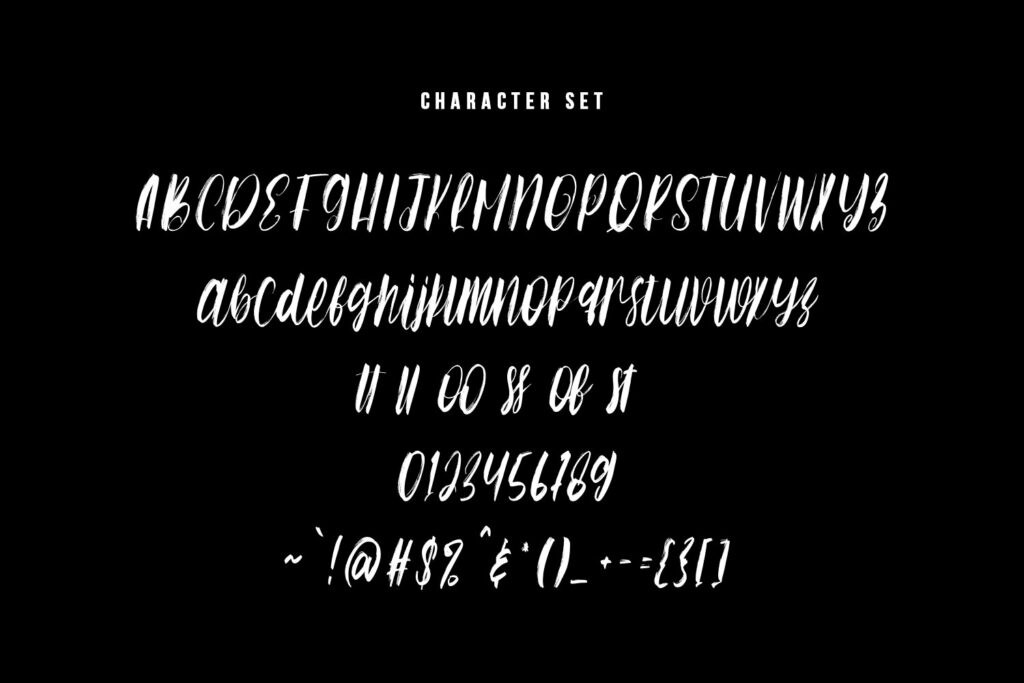 Switch Sister Brush Font – MasterBundles