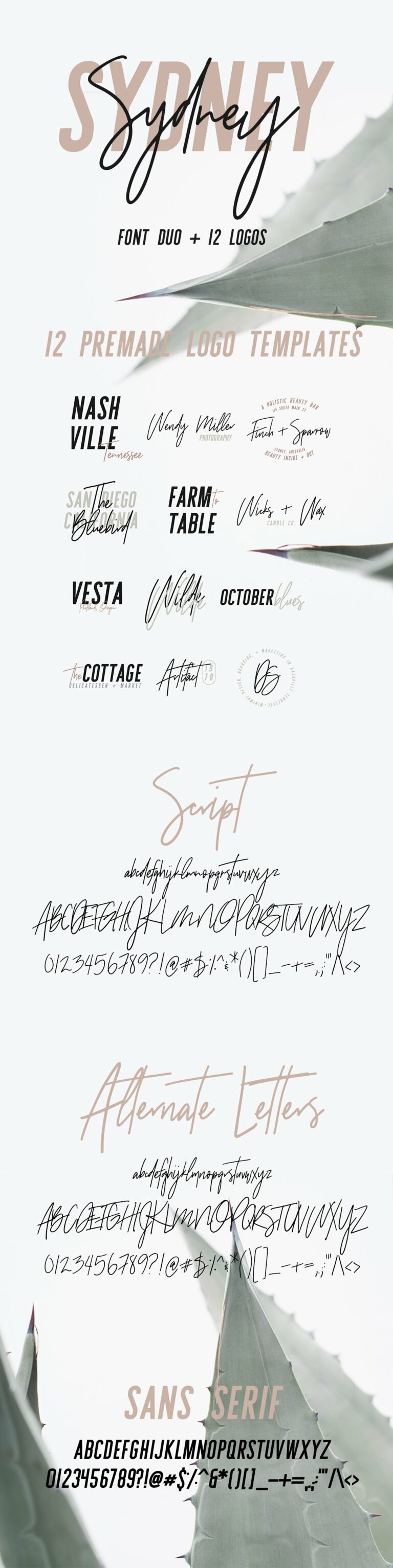 Sydney | Font Duo + 12 Free Logos – MasterBundles