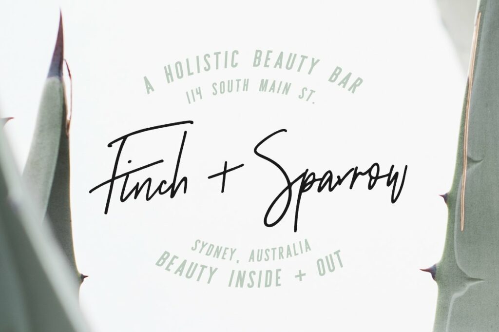 Sydney | Font Duo + 12 Free Logos – MasterBundles
