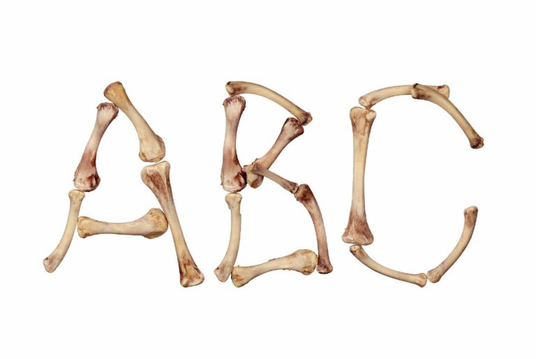 Chicken Bones Font – MasterBundles