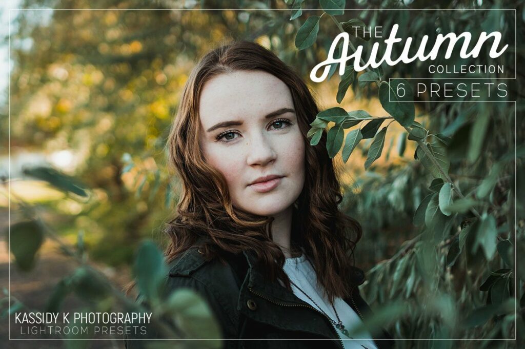The Autumn Collection | 6 LR Presets – MasterBundles