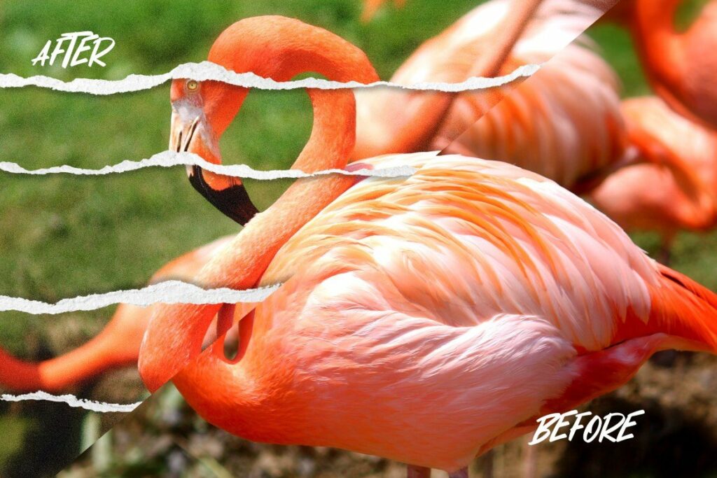 Torn Paper Photo Effect – MasterBundles