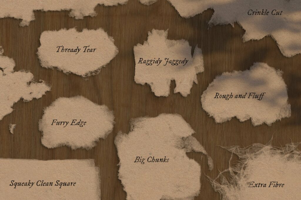 Torn Paper - Photoshop Brushes – MasterBundles