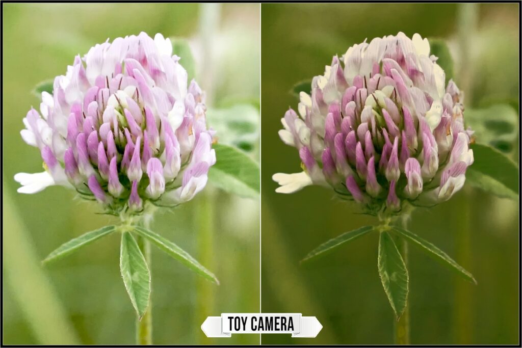 Nikon Special Effects Modes profiles – MasterBundles